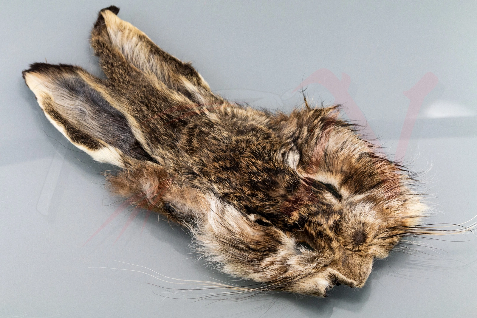 Hareline Hare's Mask Natural Grade #2 - online webshop