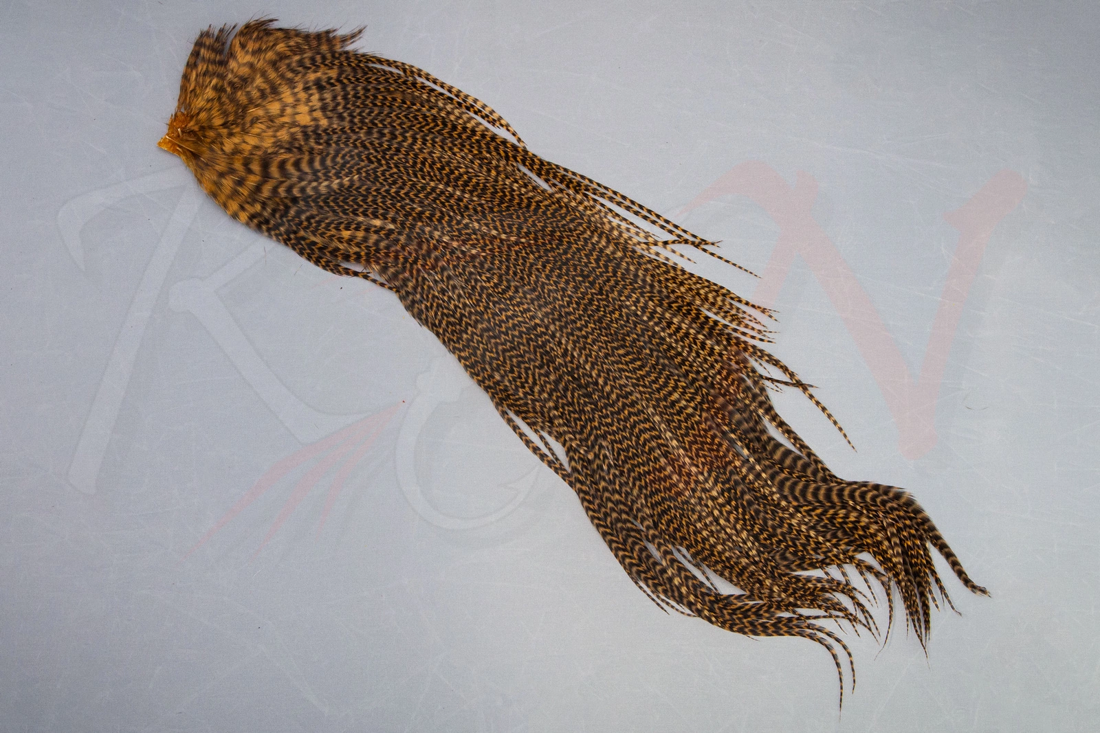 Pół siodłowej kapki koguta Keough Half Dry Fly Saddle Grade #1 Grizzly ...