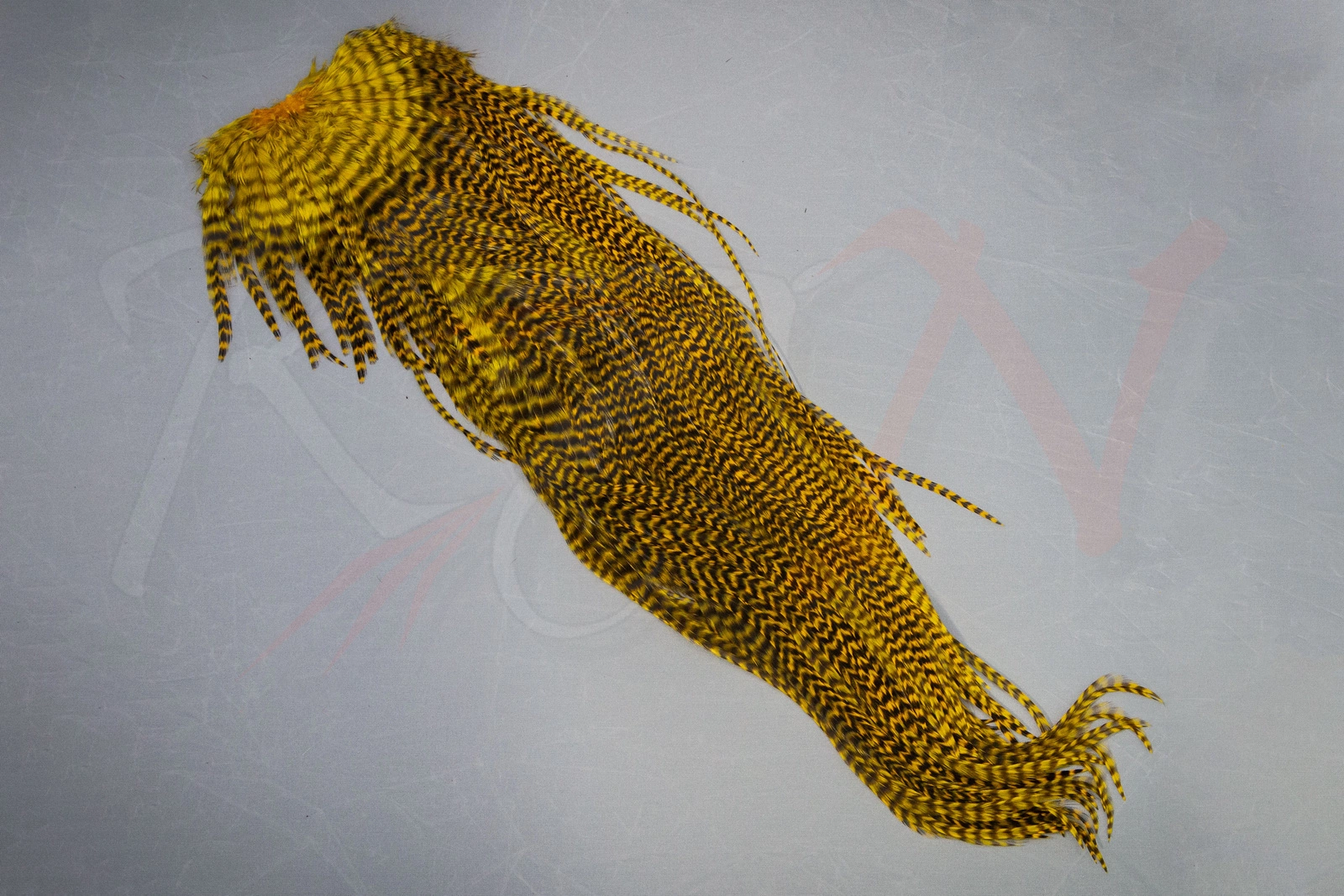 Pół siodłowej kapki koguta Keough Half Dry Fly Saddle Grade #1 Grizzly ...