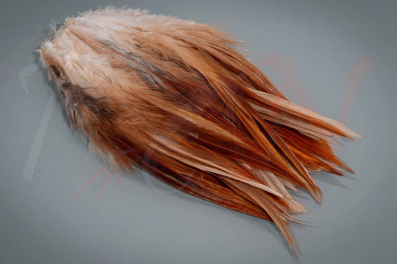 FutureFly Rooster Saddle Feather Ginger - online webshop