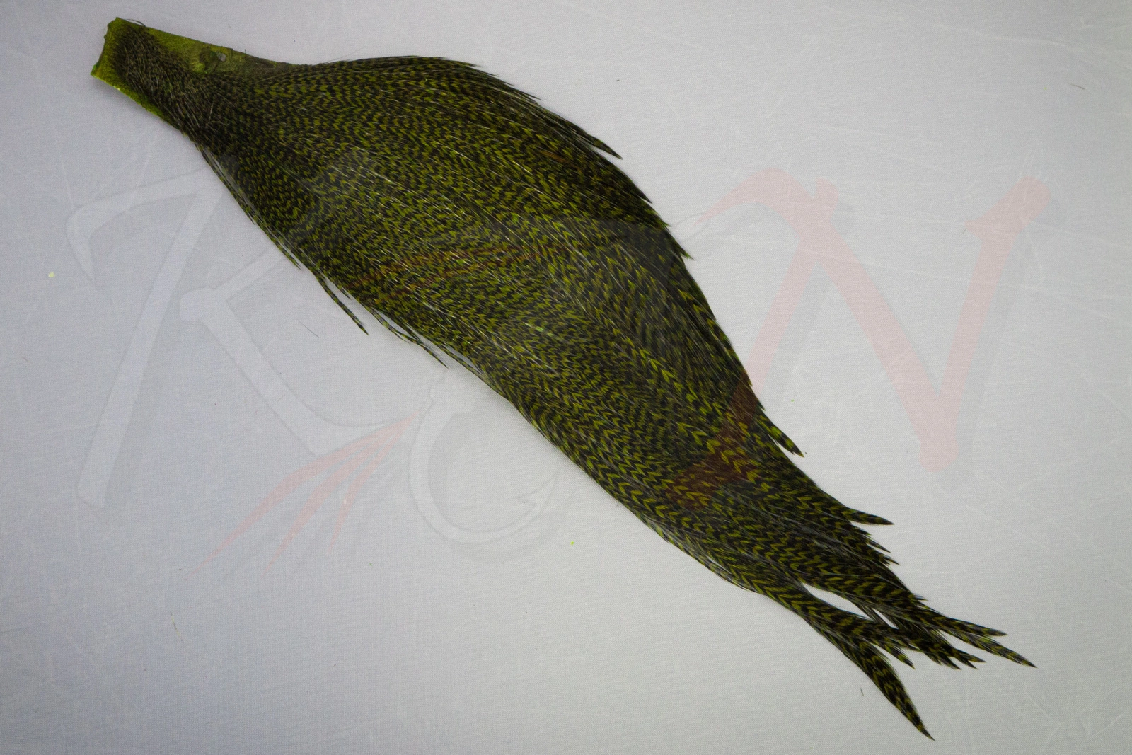 Pół kapki koguta Hareline Half Cape Grizzly Olive - Internetowy sklep ...