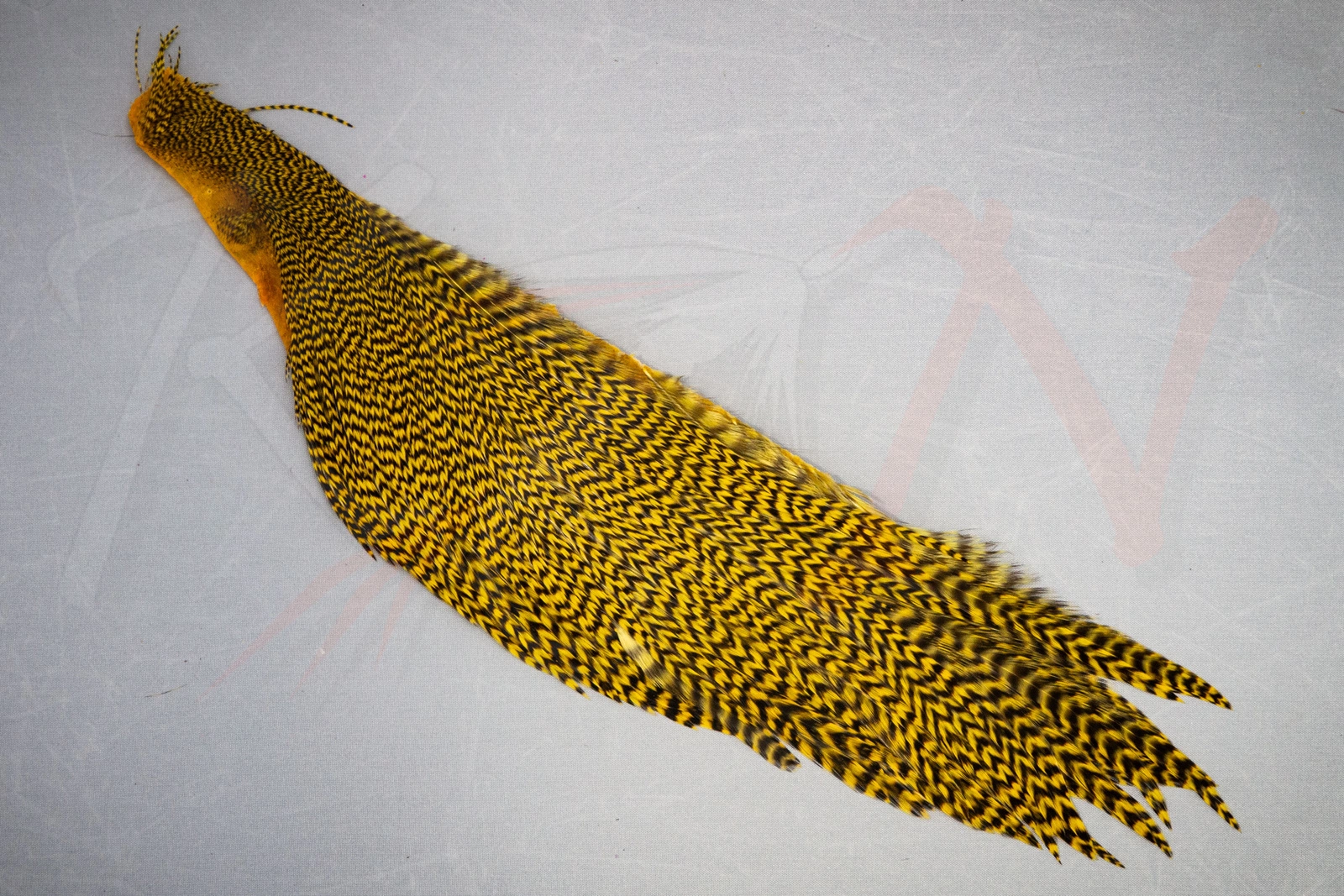 Pół kapki koguta Hareline Half Cape Grizzly Yellow - Internetowy sklep ...