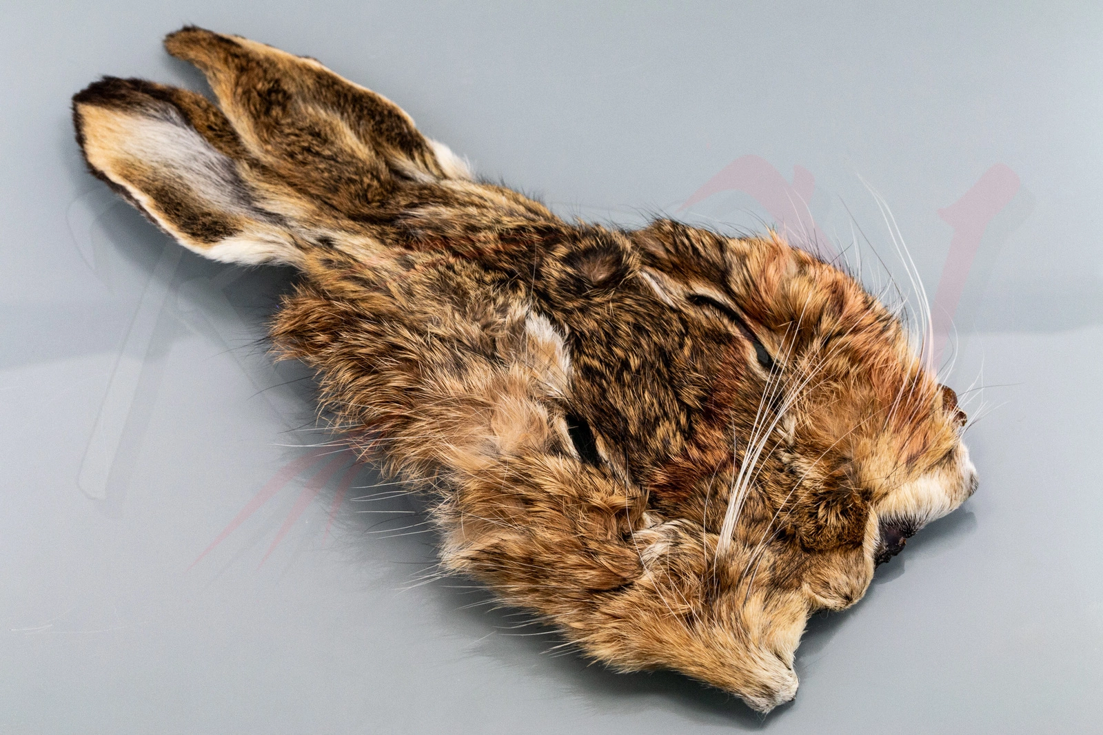Hareline Hare's Mask Natural Grade #1 - online webshop