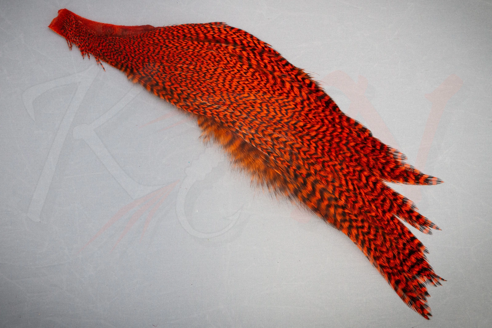 Pół kapki koguta Hareline Half Cape Grizzly Hot Orange - Internetowy ...