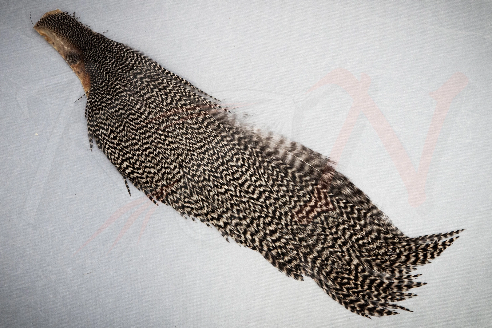 Pół kapki koguta Hareline Half Cape Grizzly Natural - Internetowy sklep ...