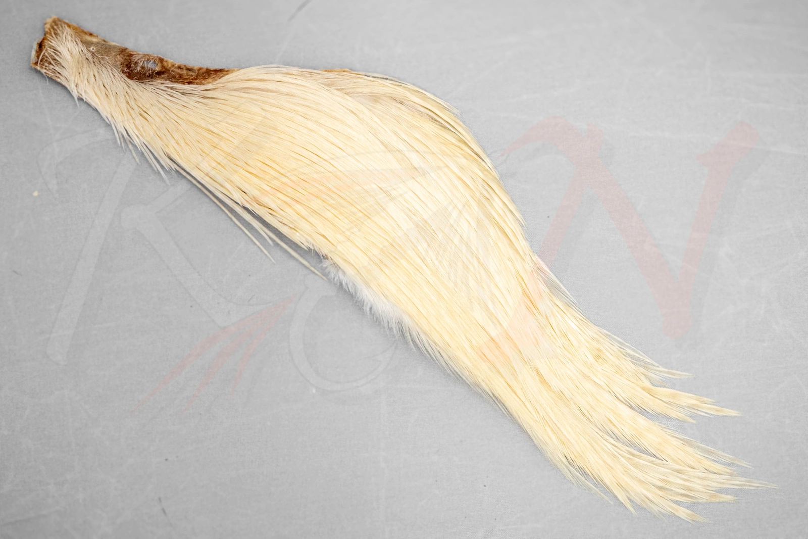 Pół kapki koguta Hareline Half Cape Cream - Internetowy sklep wędkarski KN