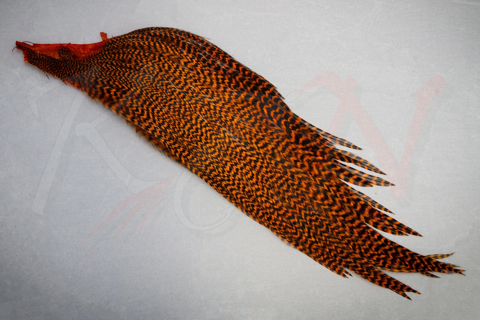 Pół kapki koguta Hareline Half Cape Grizzly Crawfish Orange ...