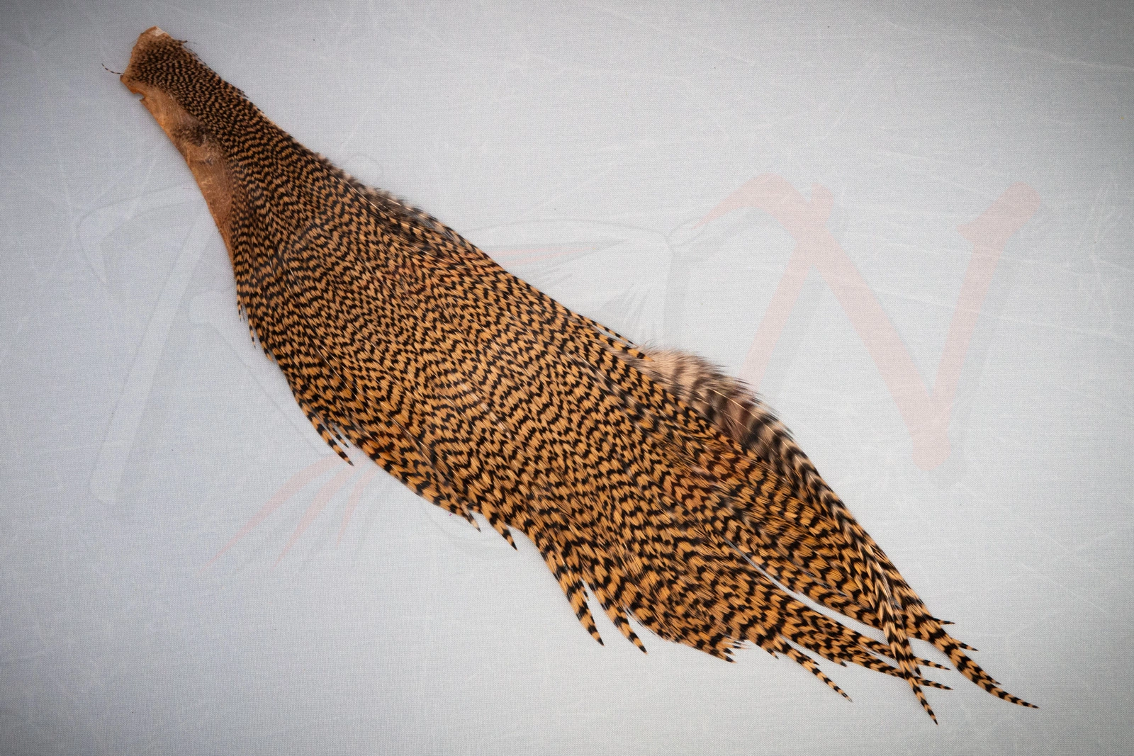 Pół kapki koguta Hareline Half Cape Grizzly Tan - Internetowy sklep ...